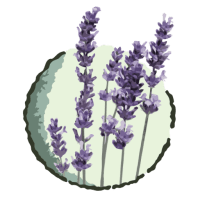 Portfolio – DRT Landscape Design