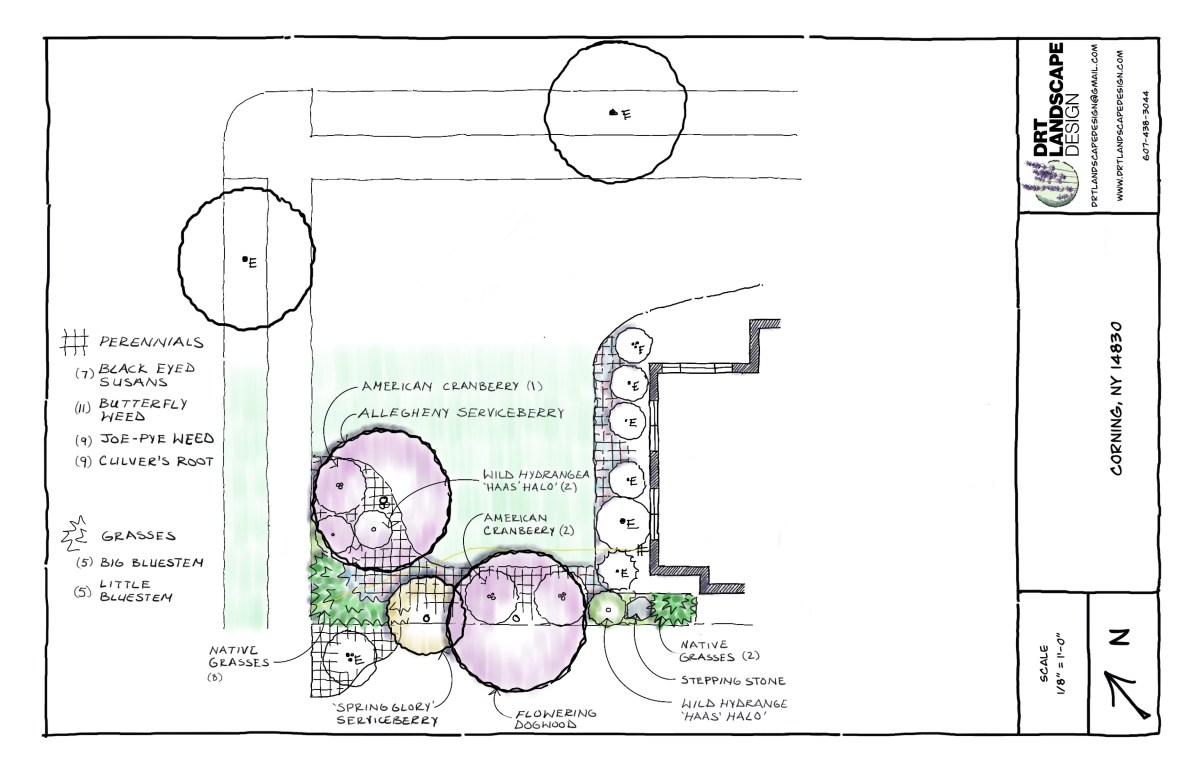 Native and Natural Side Yard – DRT Landscape Design