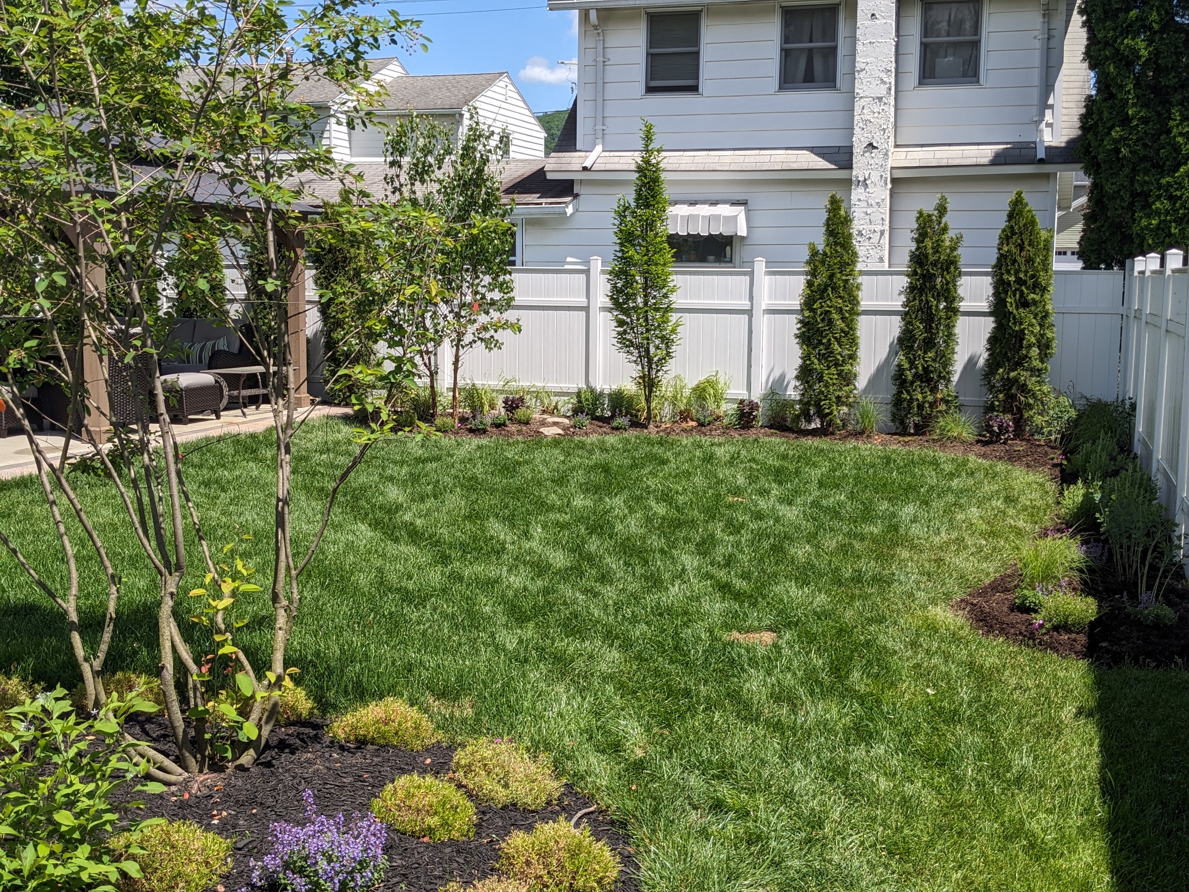 Dog-Friendly Private Oasis – DRT Landscape Design